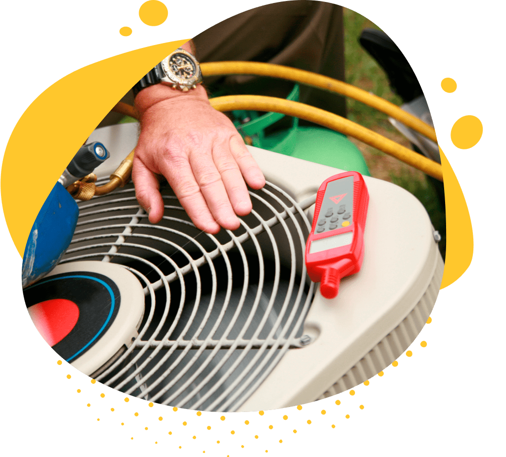 About Our Team - Lickety-Split